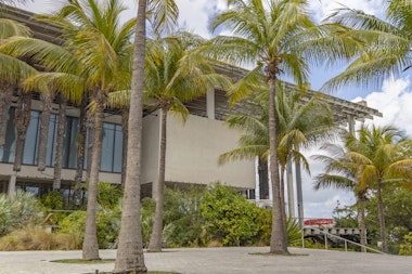 Pérez Art Museum Miami • PAMM
