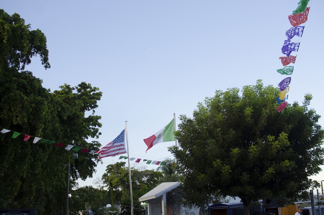 In Conversation with Priscilla Alejandre • Pérez Art Museum Miami