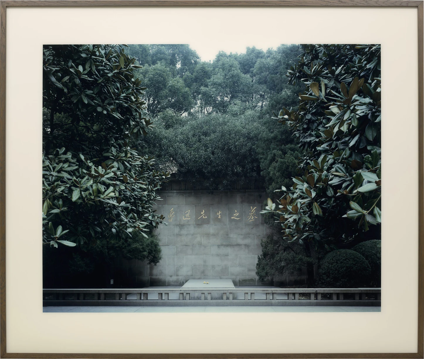 Language and Image: Conceptual and Performance-Based Photography from ...