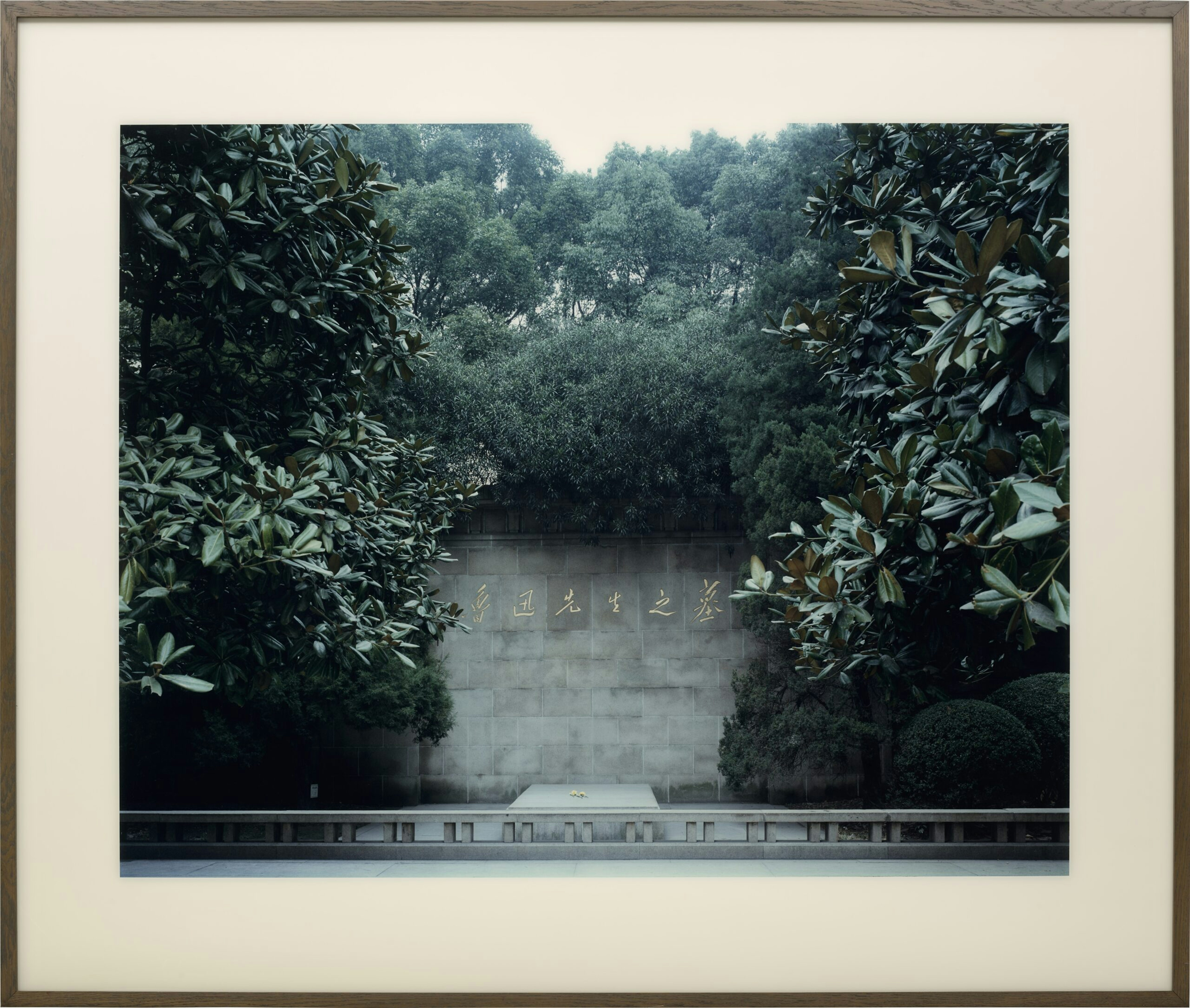 Language and Image: Conceptual and Performance-Based Photography from ...